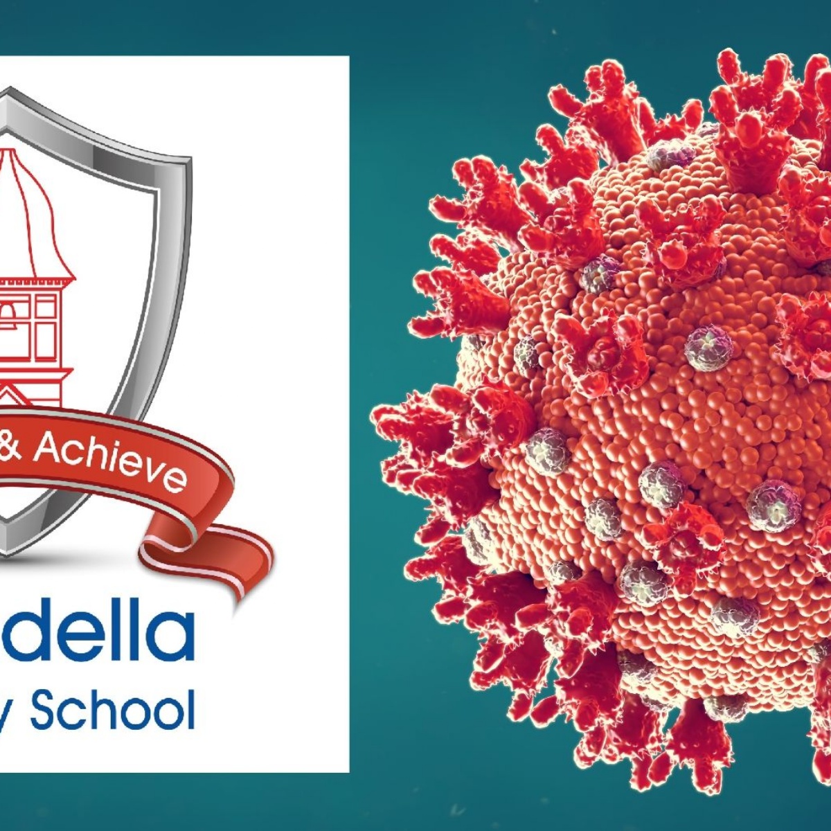 Mundella Primary School - Micro-Bubbles in Y5 and Y6